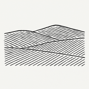 Learning Tutorial Blog: Landscape Hatching Method (Step-by-Step ...